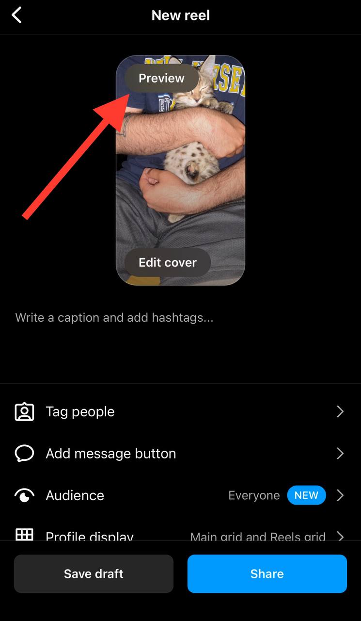 How to Preview a Post on Instagram - Scrowise